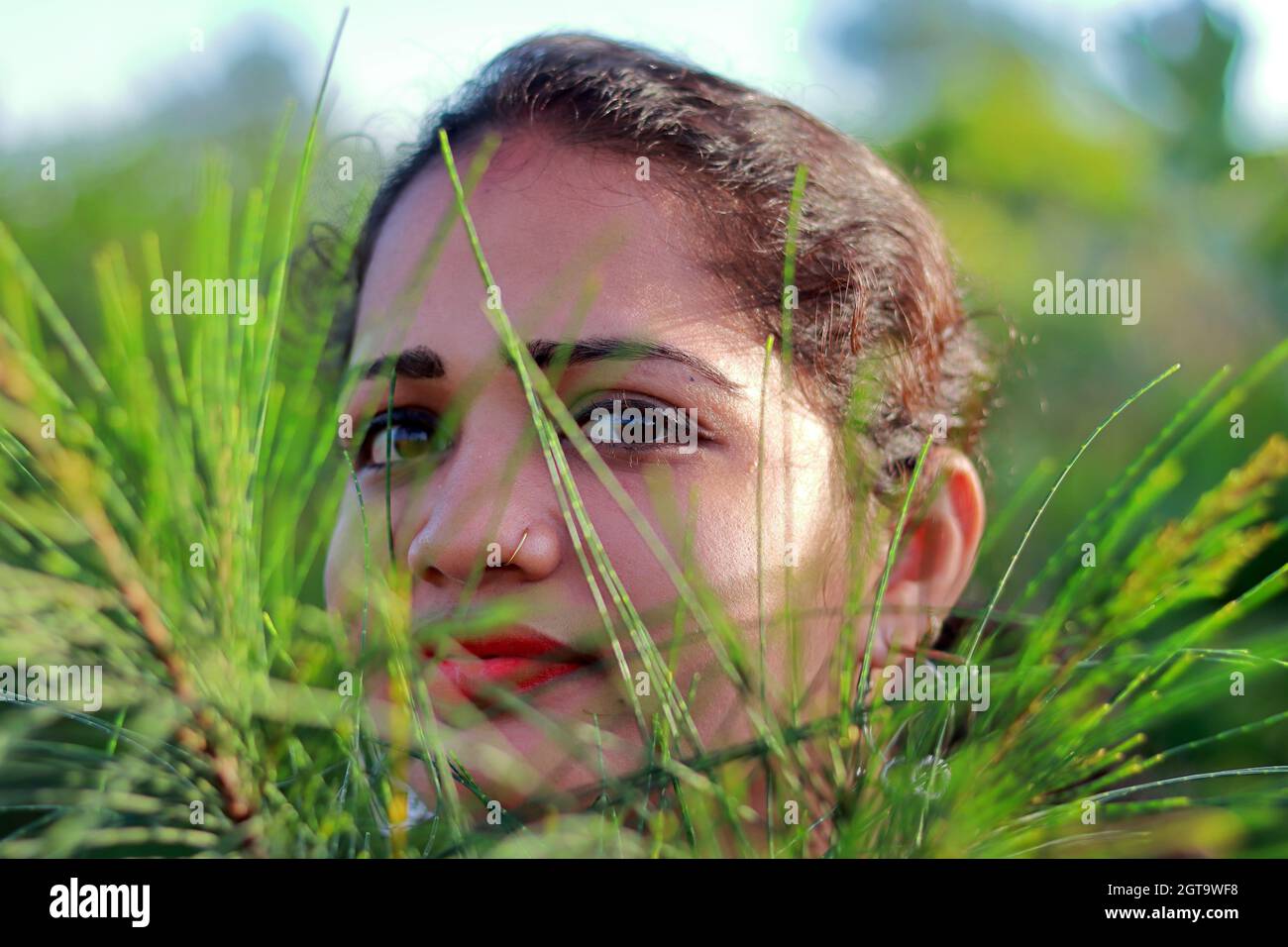 The Face Of A Beautiful Indian Young Woman Behind The Leaves Of Trees ...