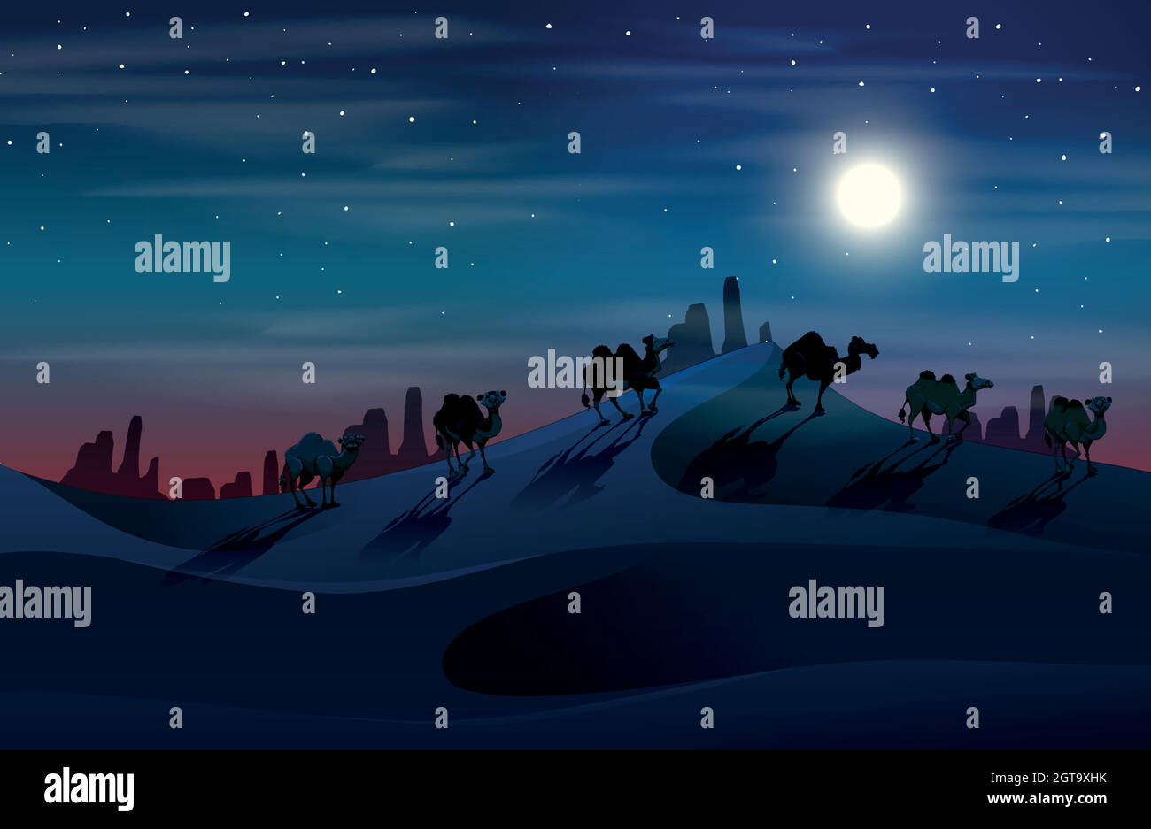 Camel night sky desert hi-res stock photography and images - Alamy