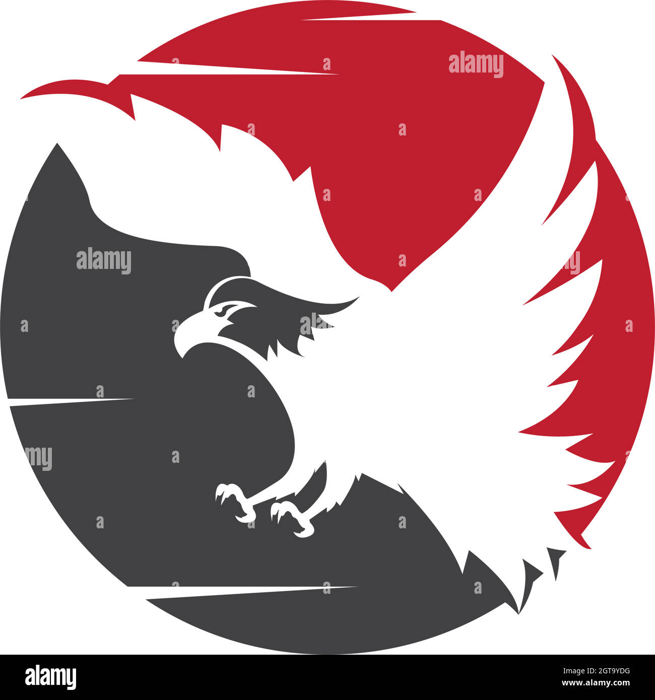 Falcon Eagle Bird Logo Template vector Stock Vector Image & Art - Alamy