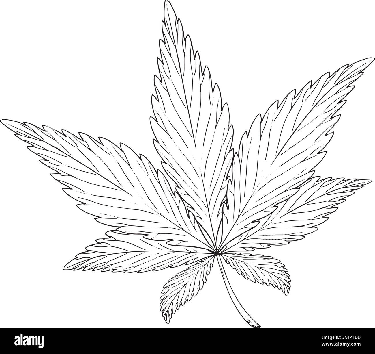 Cannabis sativa marijuana leaf Stock Vector Images - Alamy