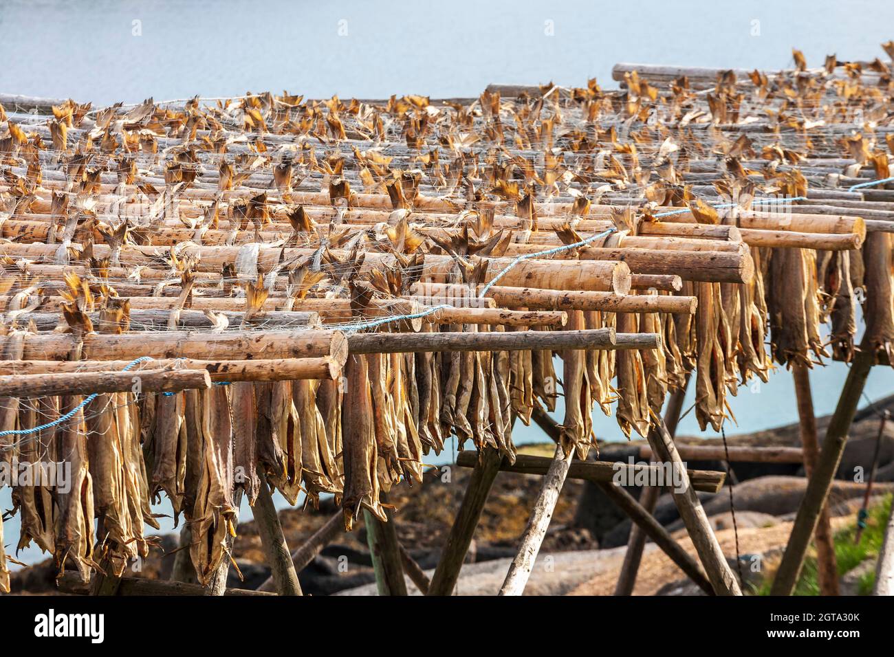 Fish drying flake hi-res stock photography and images - Alamy