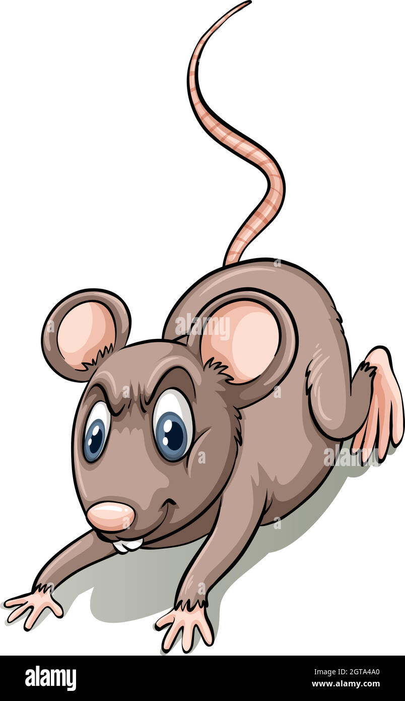 Naughty rat Stock Vector Images - Alamy