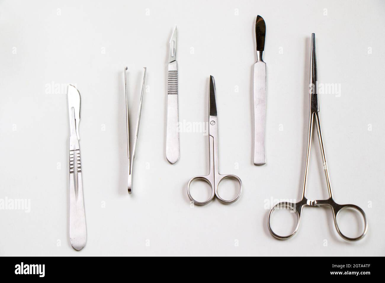 Dissection scissors hi-res stock photography and images - Alamy