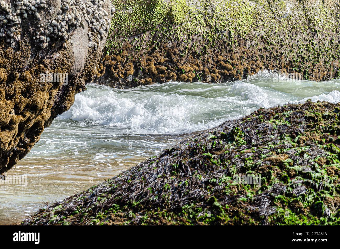 Someshwar beach hi-res stock photography and images - Alamy
