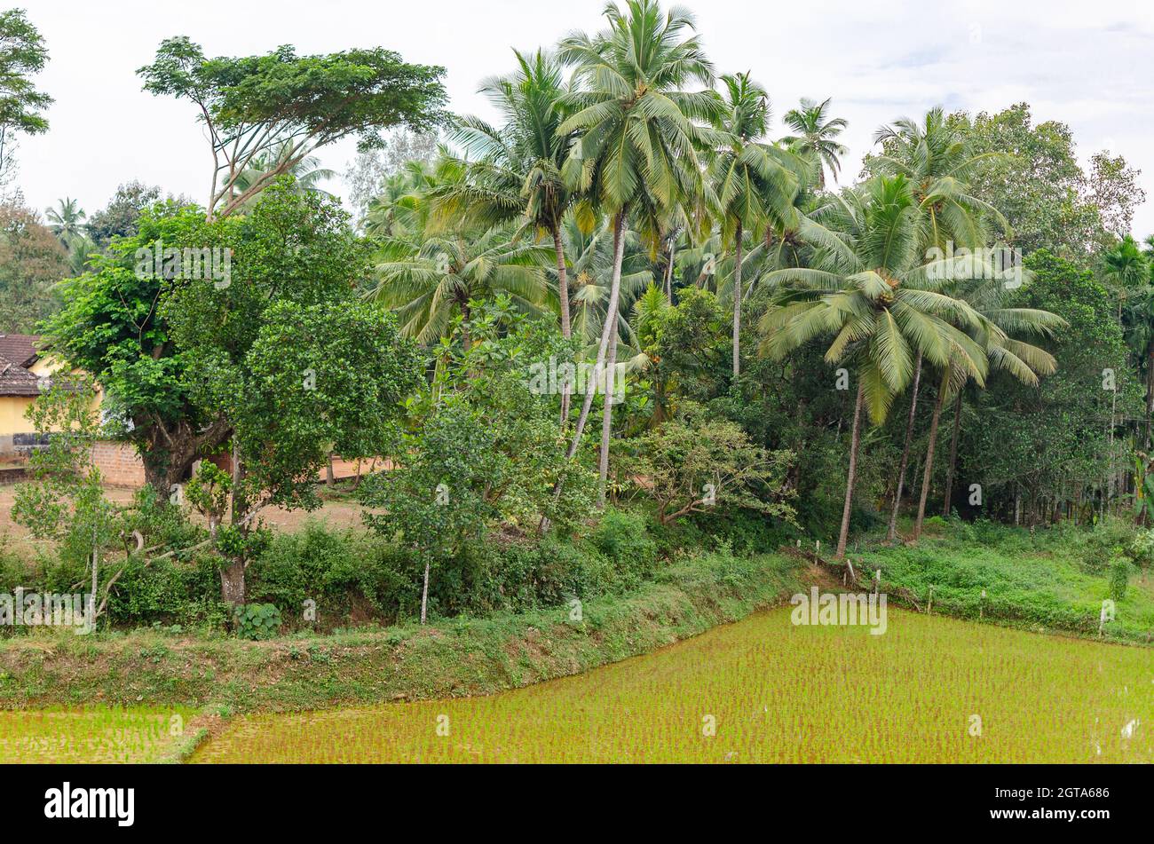 Konkan house hi-res stock photography and images - Alamy