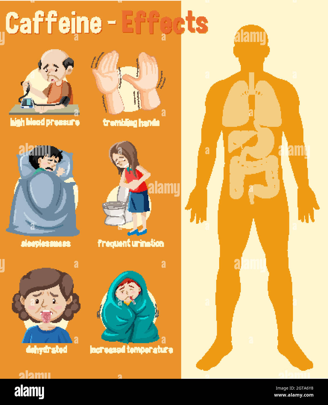 Health effects of Caffeine Infographic Stock Vector Image & Art - Alamy