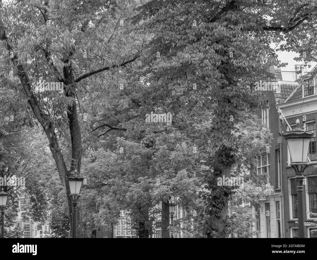 Utecht in the Netherlands Stock Photo - Alamy