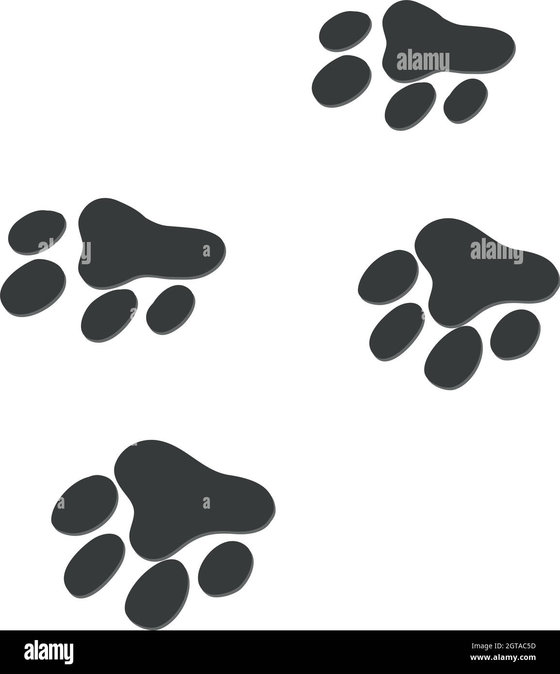 Animal footprints hi-res stock photography and images - Alamy