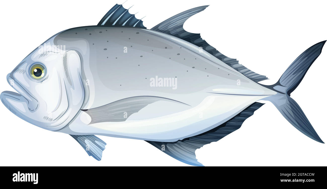 Trevally Stock Vector Images - Alamy