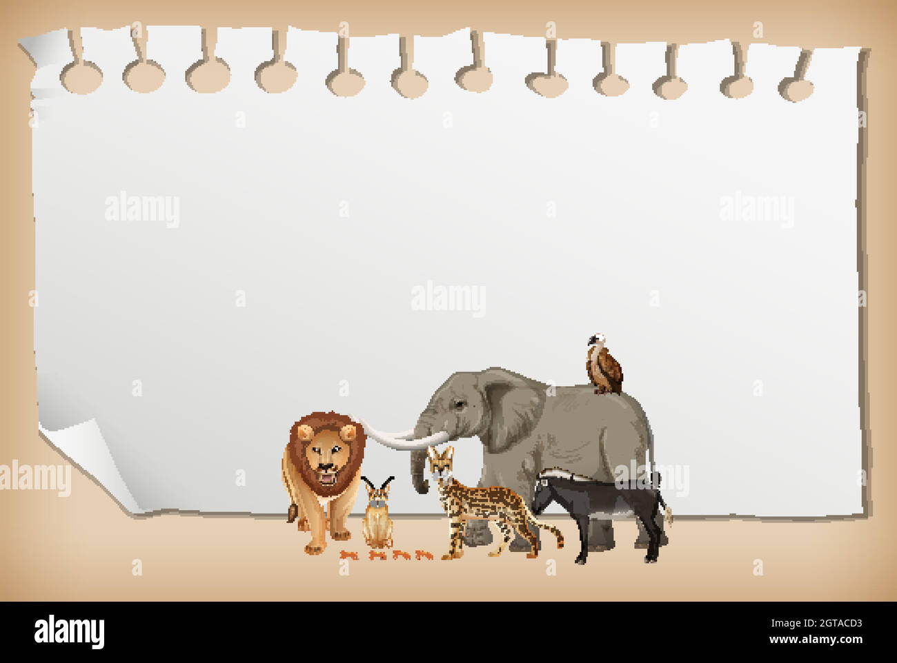 African Animal Border