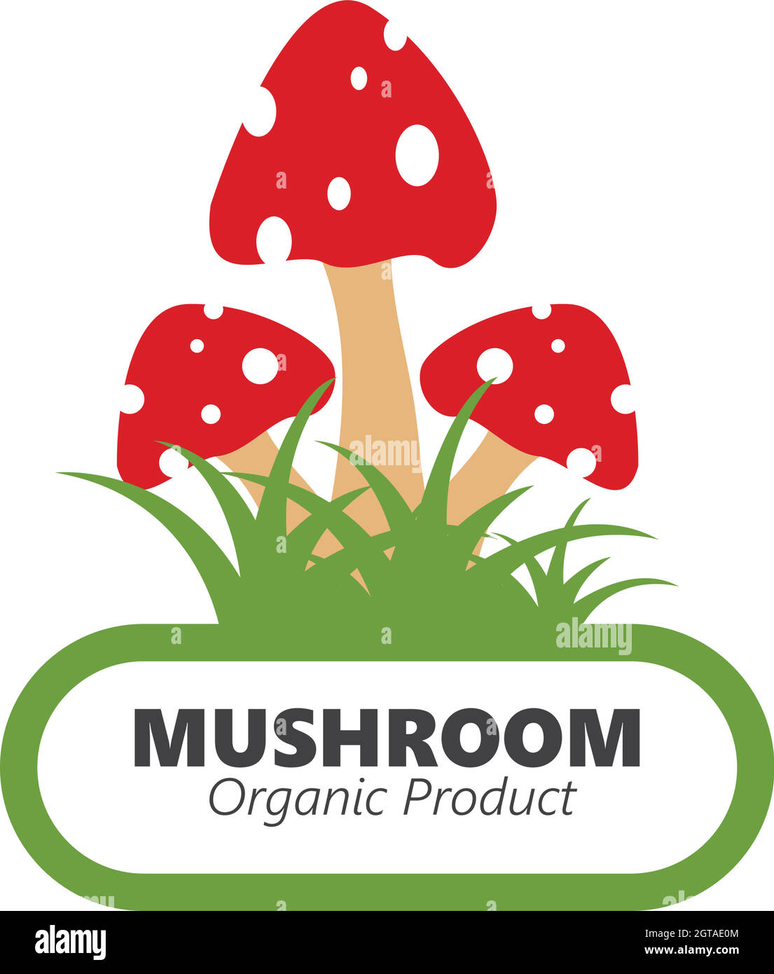 Forest mushroom chanterelle fungi Stock Vector Images - Alamy