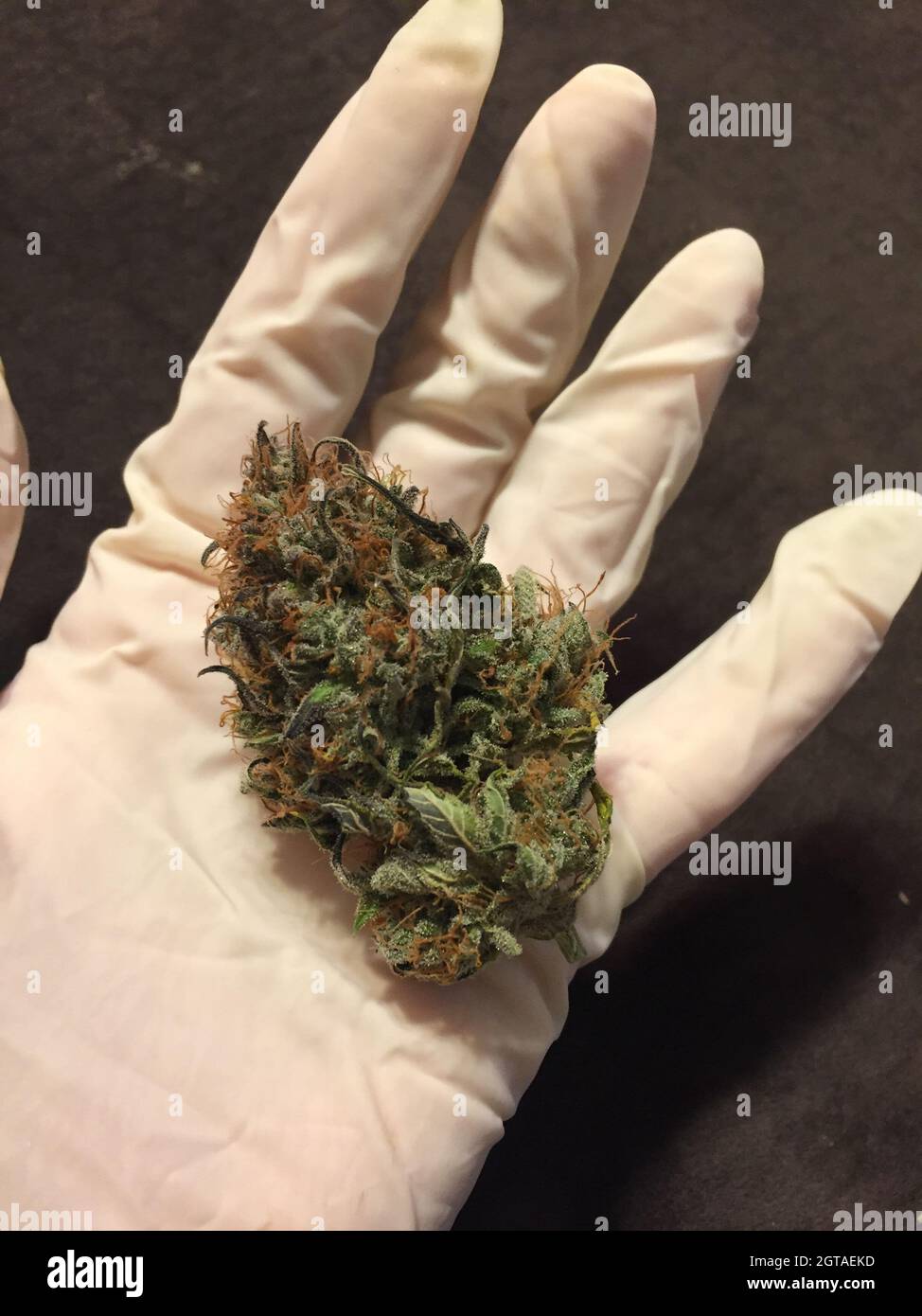 Cannabis nugget hi-res stock photography and images - Alamy