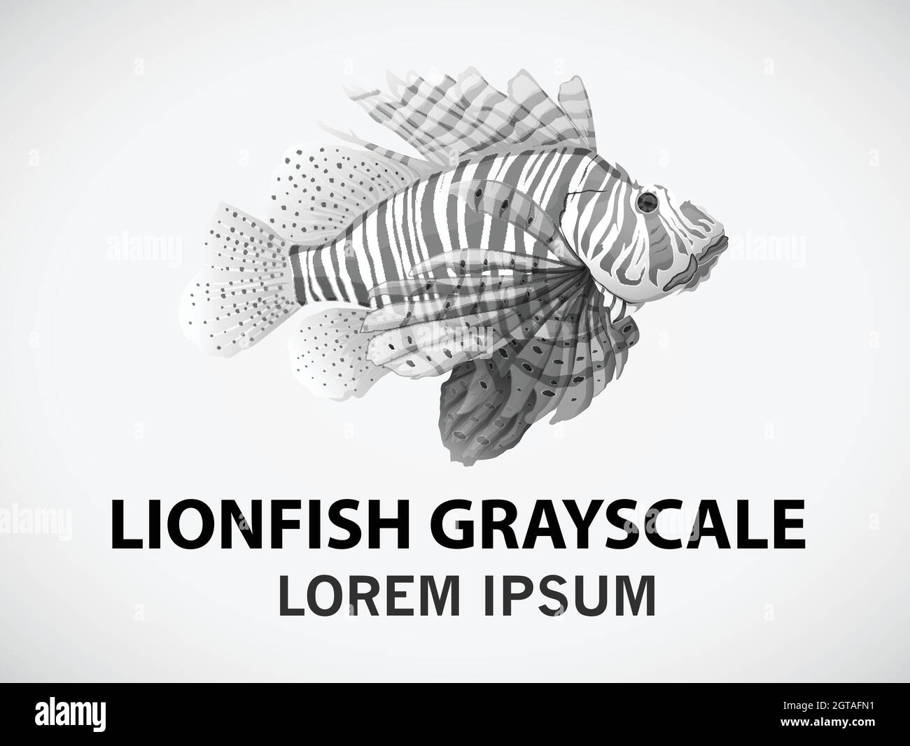 Tail of lionfish Stock Vector Images - Alamy