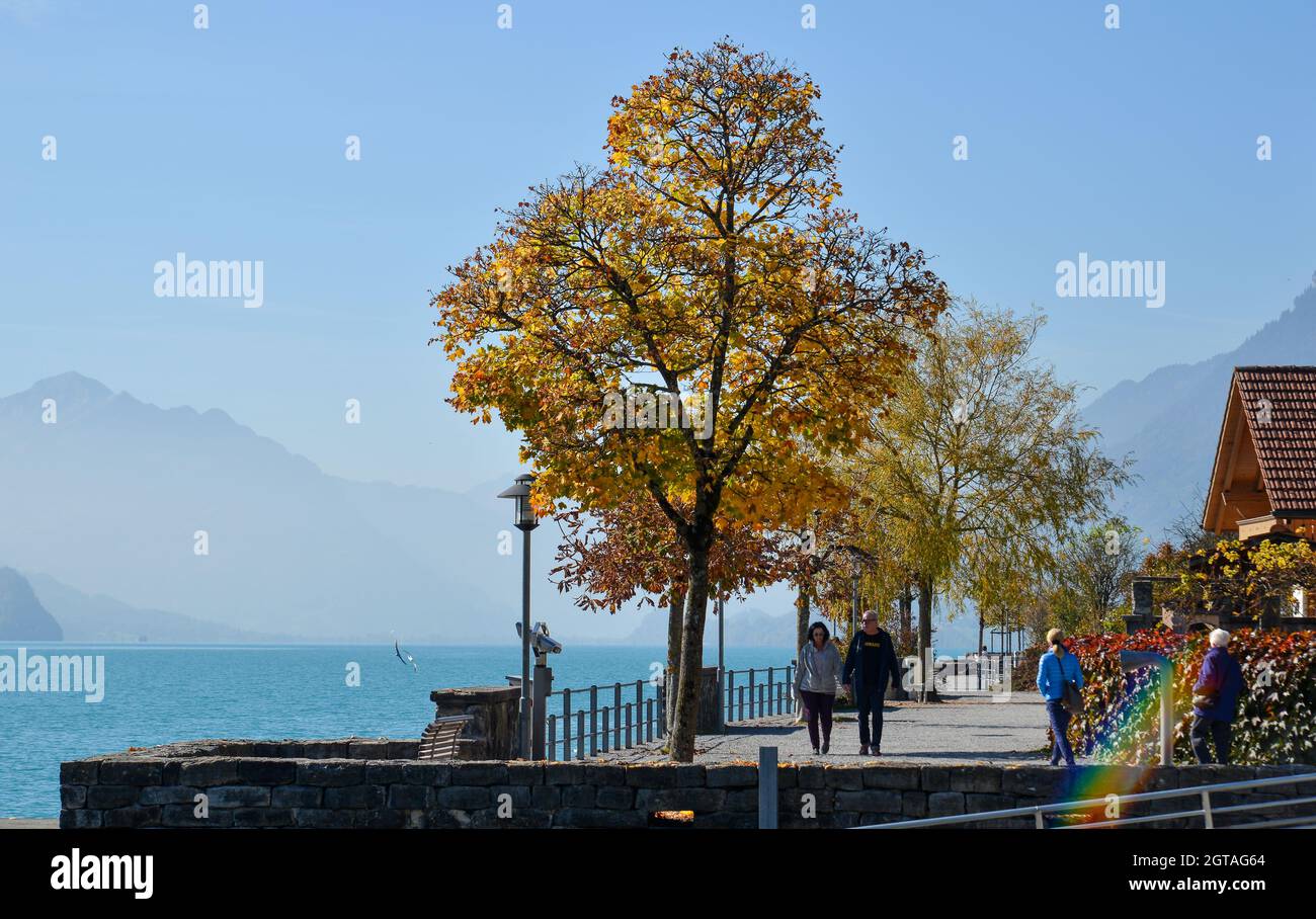 Brienz, Switzerland - Oct 18, 2018. Beautiful lakeside park in Brienz ...