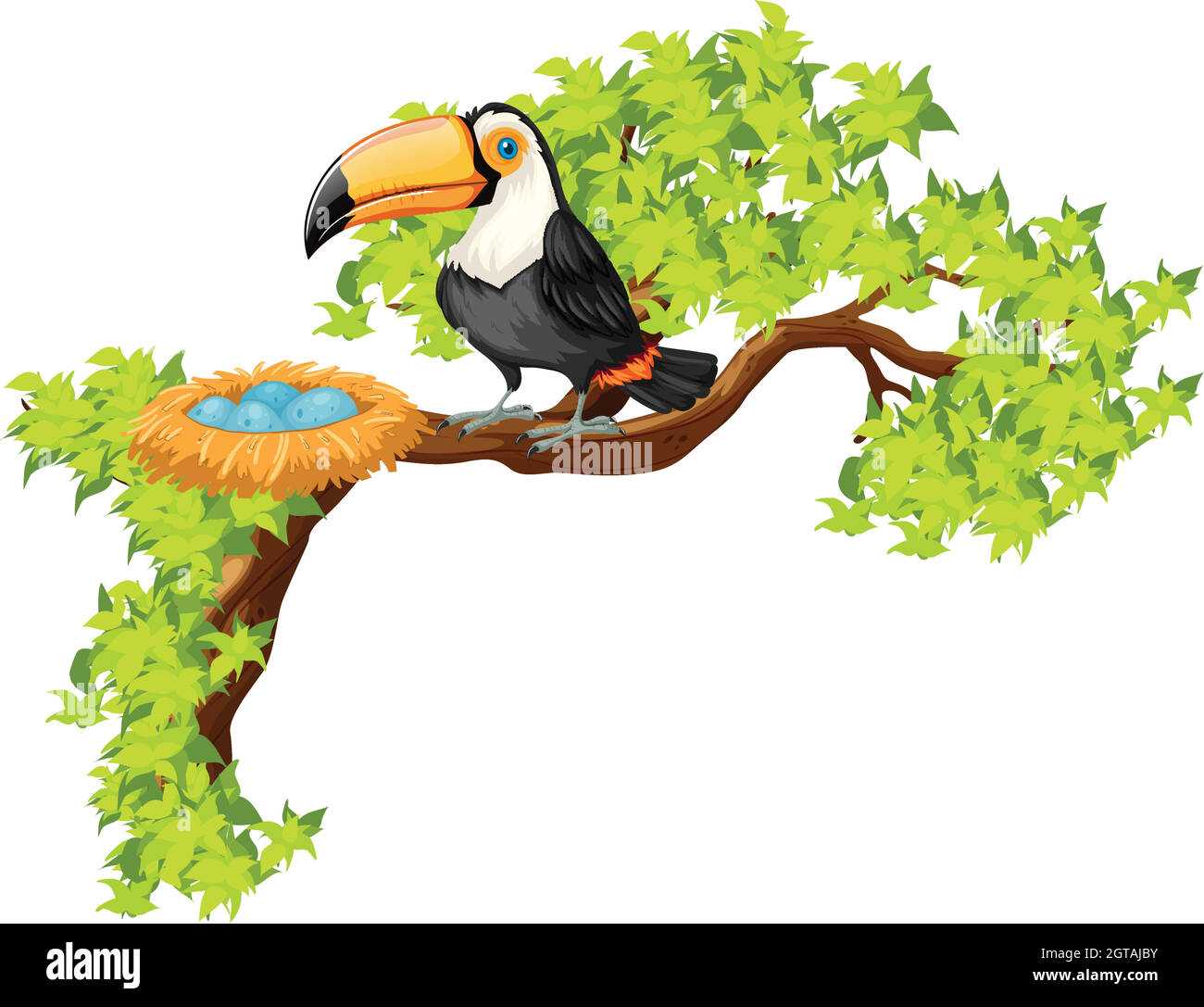 Nest On A Tree Cartoon