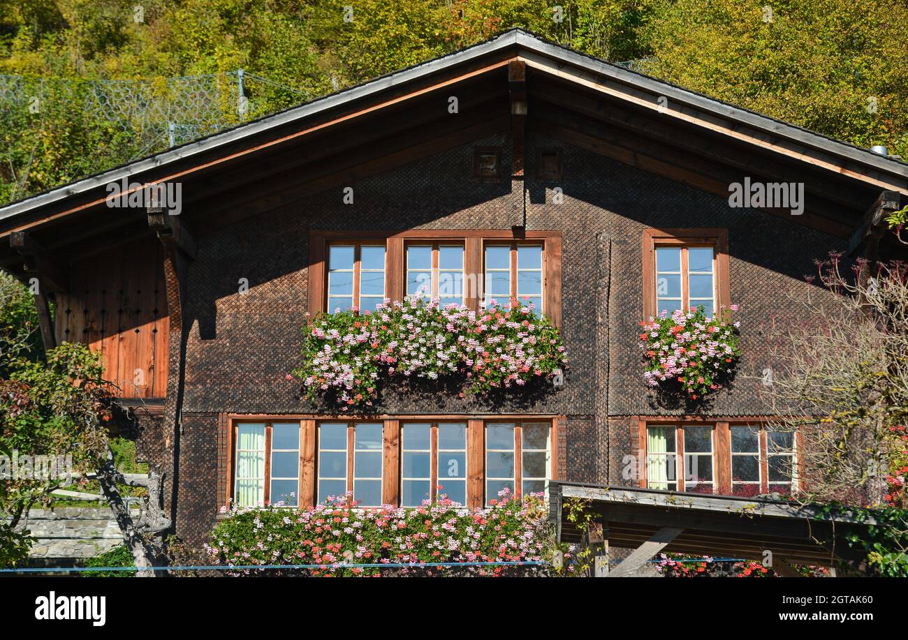 Beautiful countryside house in Brienz, Switzerland. The lake is ...