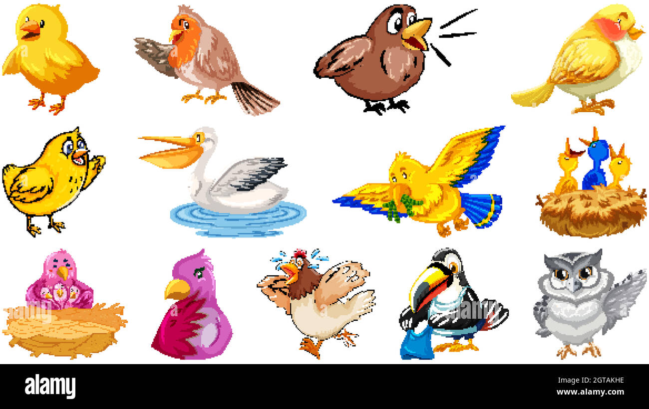 Set of different birds cartoon style isolated on white background Stock ...