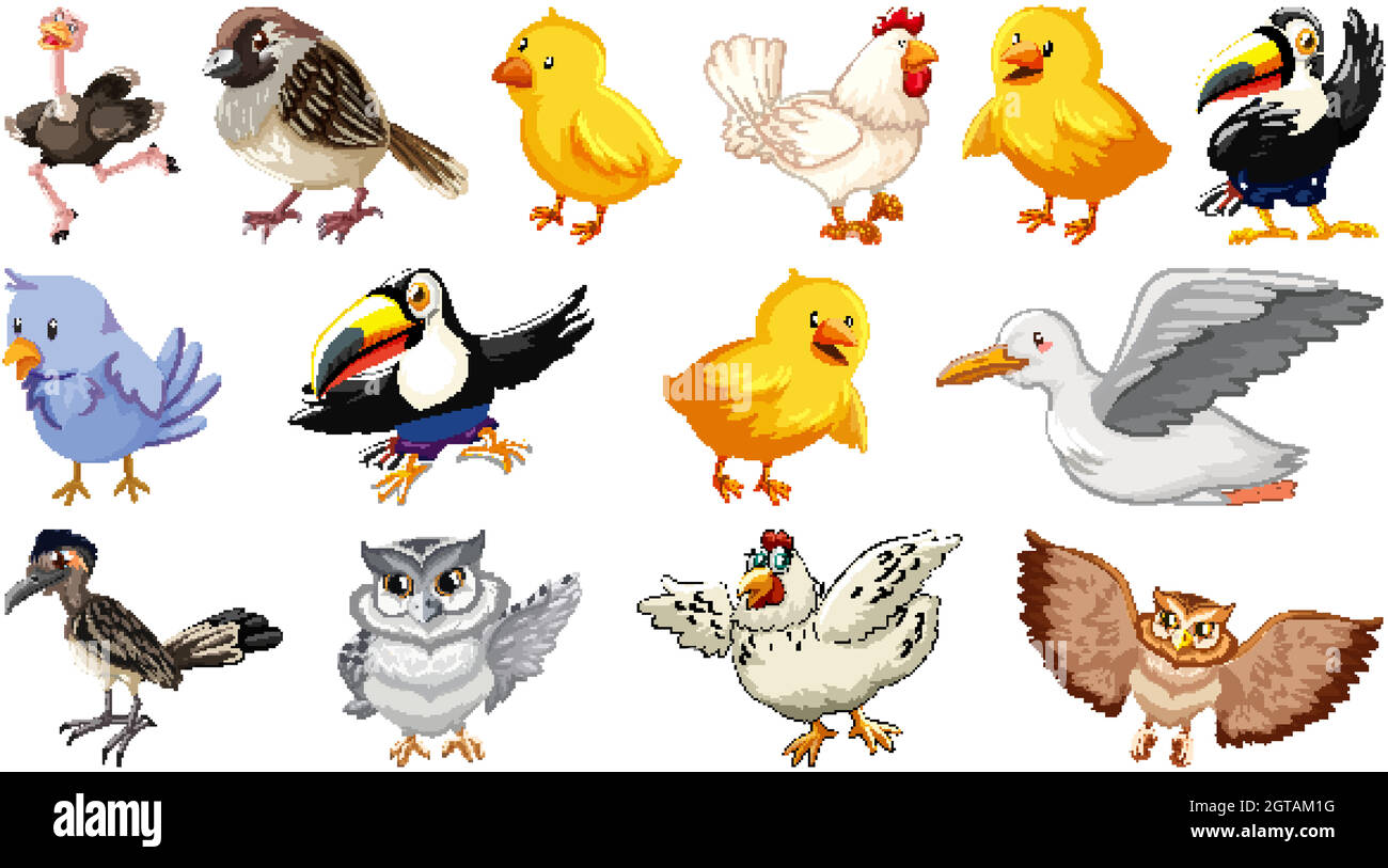 Set of different birds cartoon style isolated on white background Stock ...