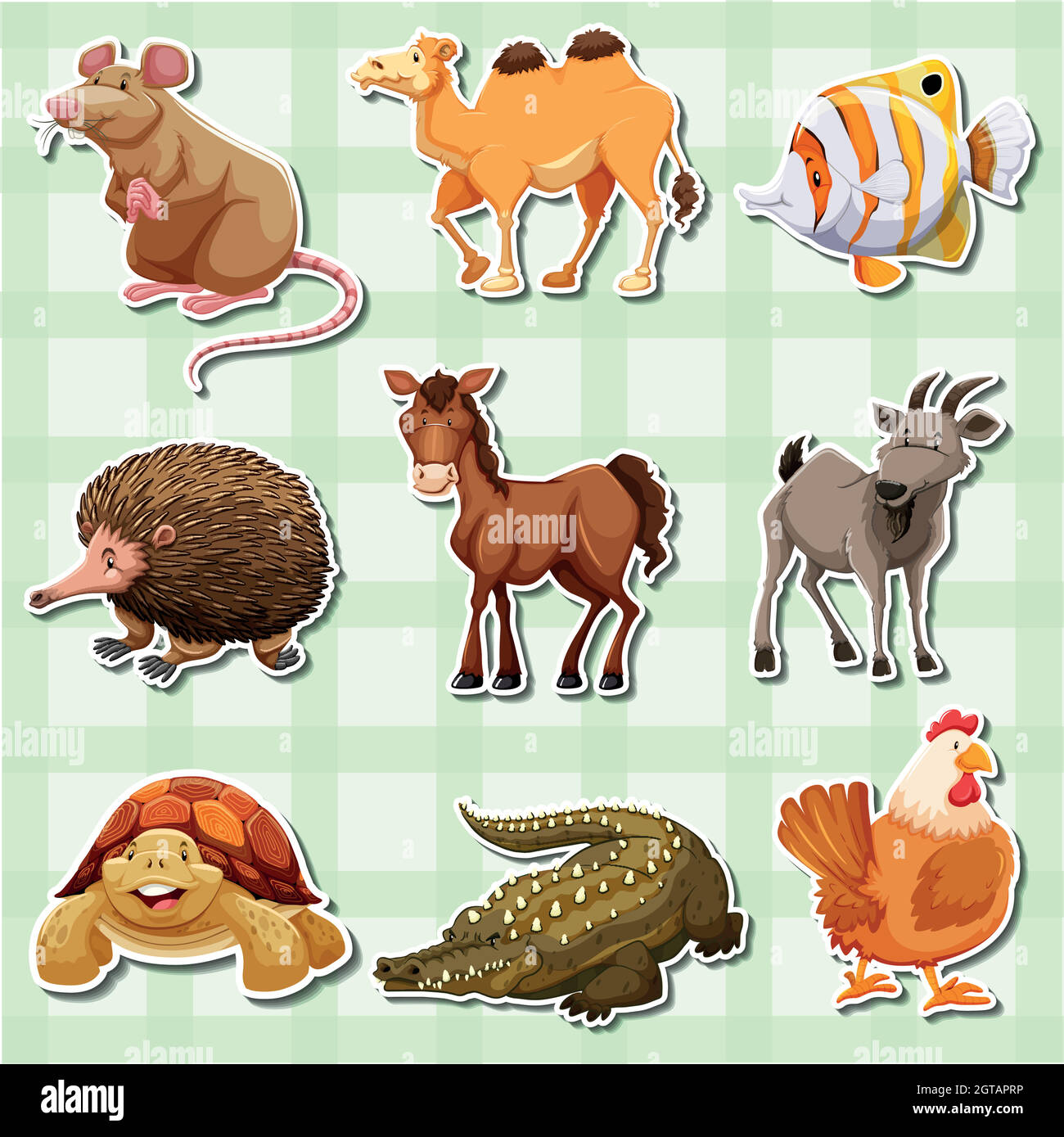 Sticker design for many animals Stock Vector Image & Art - Alamy