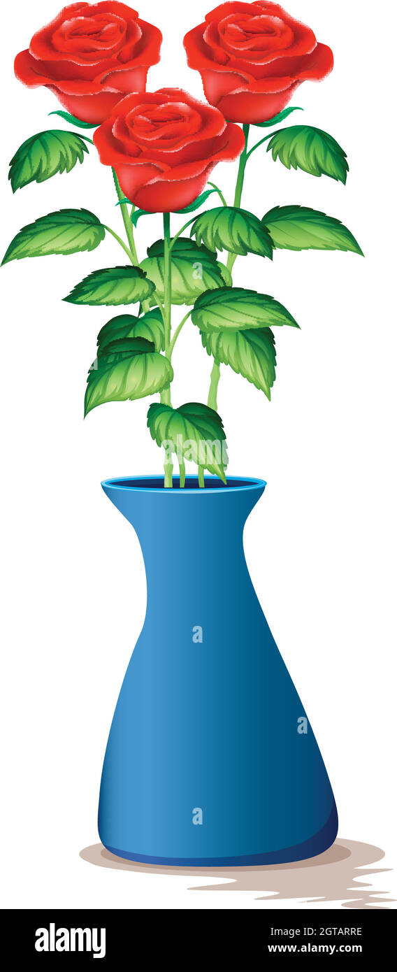 Roses plant in spring Stock Vector Images - Alamy