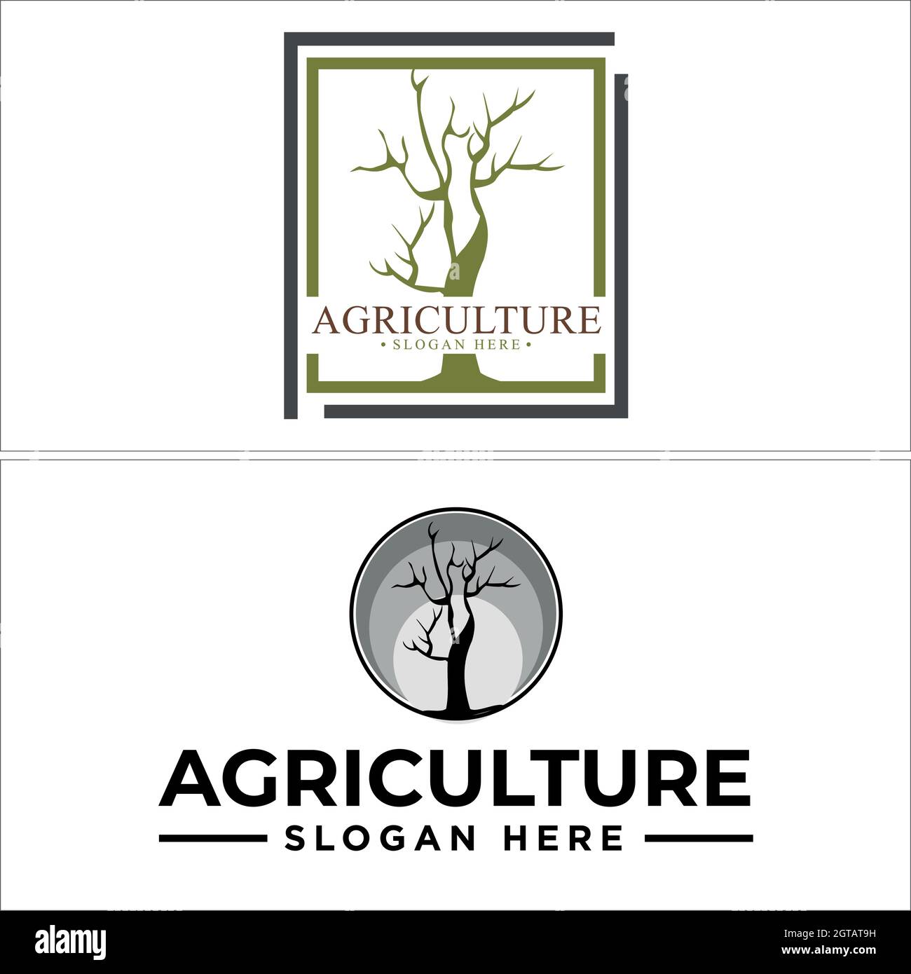 Banyan tree logo hi-res stock photography and images - Alamy