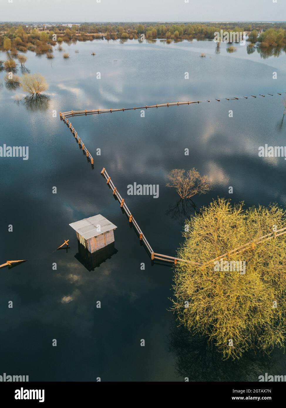 Tree floating flood hi-res stock photography and images - Alamy