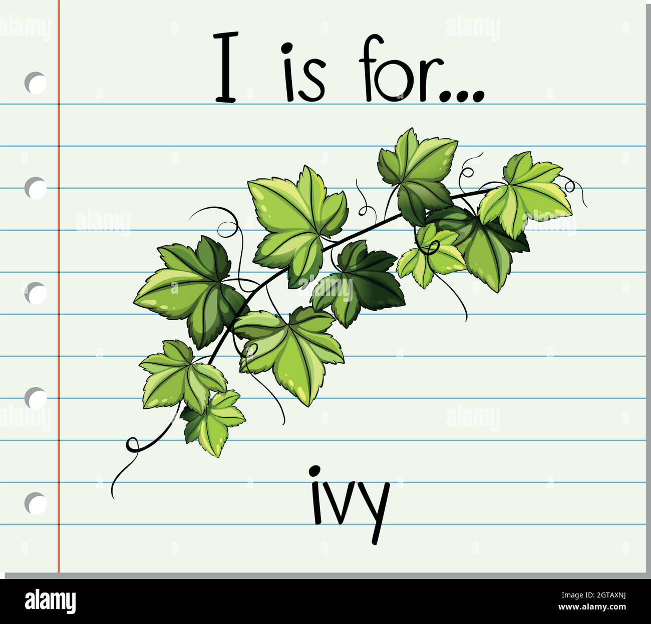 Flashcard alphabet I is for ivy Stock Vector Image & Art - Alamy