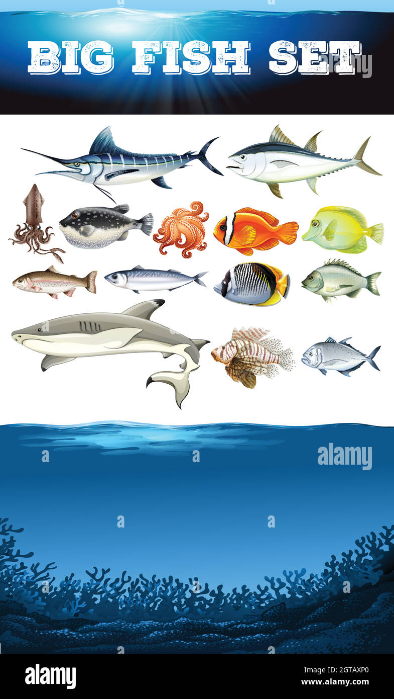 Sea animals and ocean scene Stock Vector Image & Art - Alamy