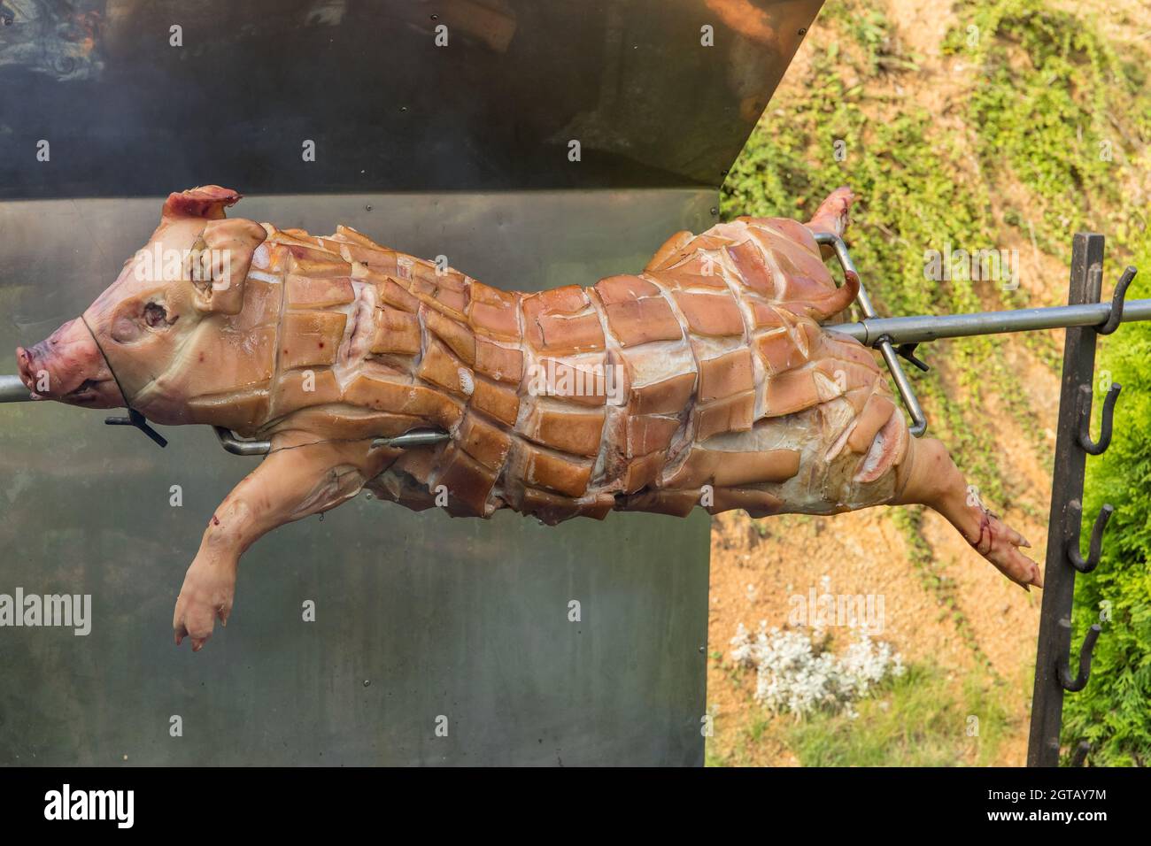 Barbecue with young pig on a grill with wooden coal. Whole roasted ...