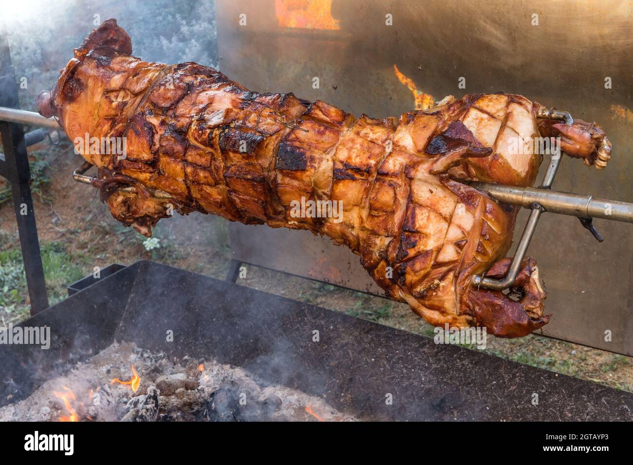 Barbecue with young pig on a grill with wooden coal. Whole roasted ...
