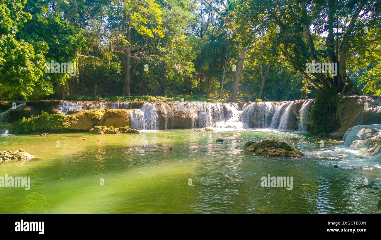 Panoramic exotic beautiful tropical deep rainforest waterfall Fresh ...