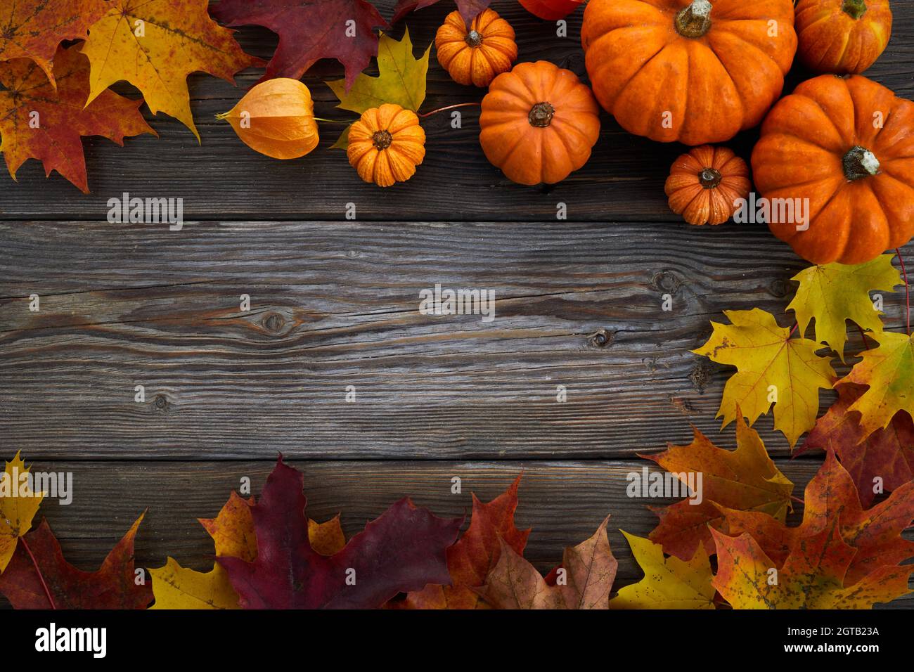 Framework pumpkins fall leaves hi-res stock photography and images - Alamy