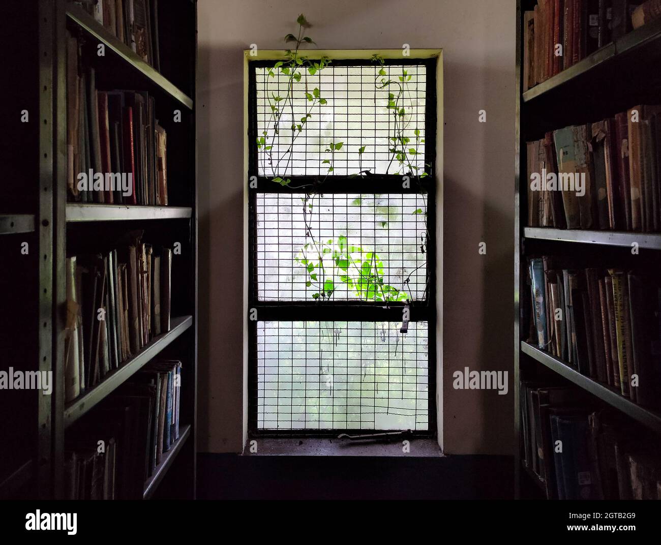 Dark library interior hi-res stock photography and images - Alamy