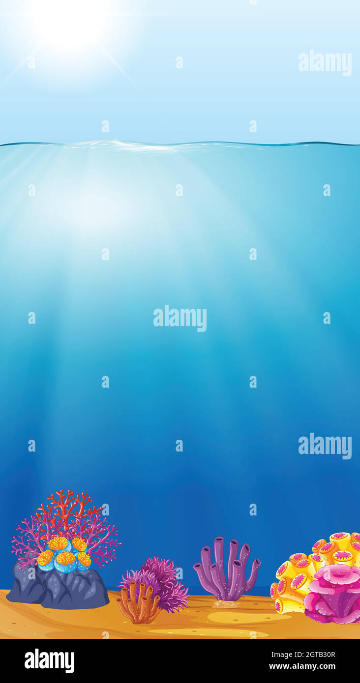 Beautiful template hi-res stock photography and images - Alamy