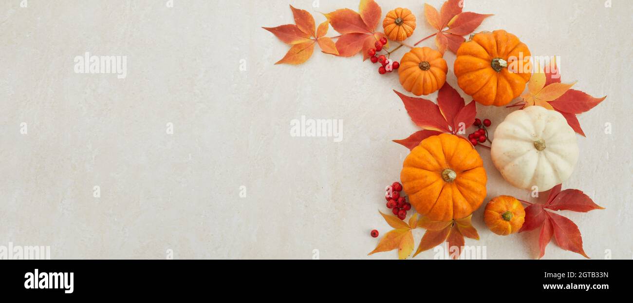 Autumn framework from pumpkins, berries and leaves on a travertine ...