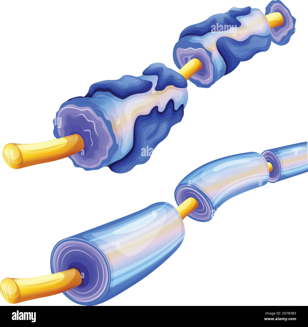 Myelin sheath hi-res stock photography and images - Alamy