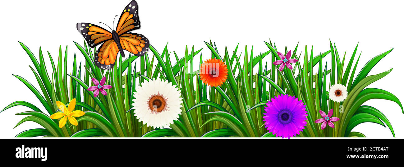 A garden with blooming flowers and a butterfly Stock Vector Image & Art ...