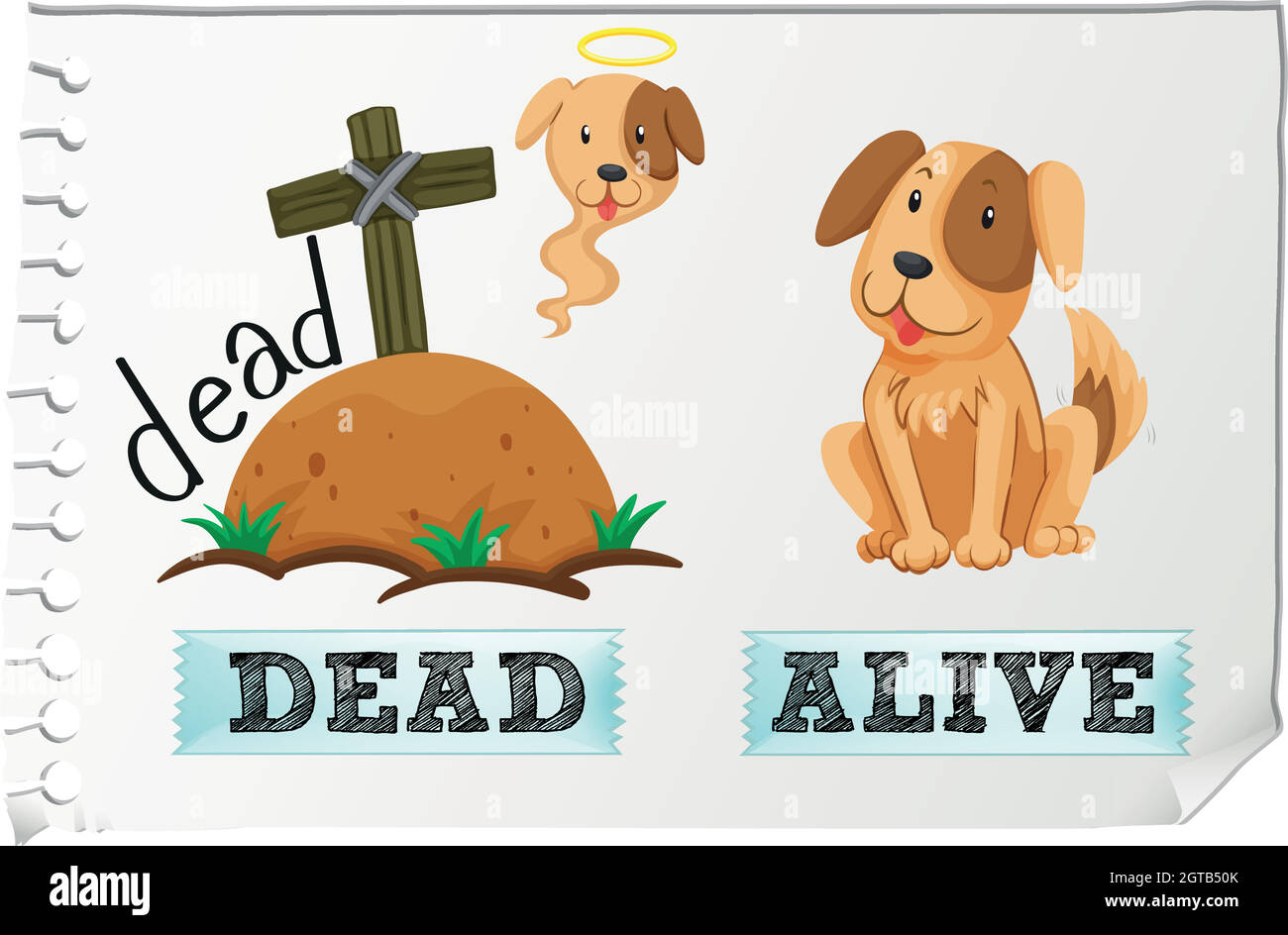 Pet dead Cut Out Stock Images & Pictures - Alamy