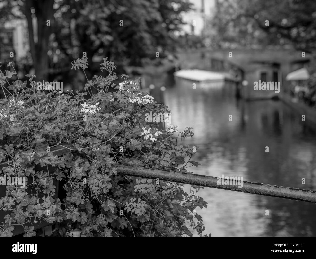 Utecht in the Netherlands Stock Photo - Alamy