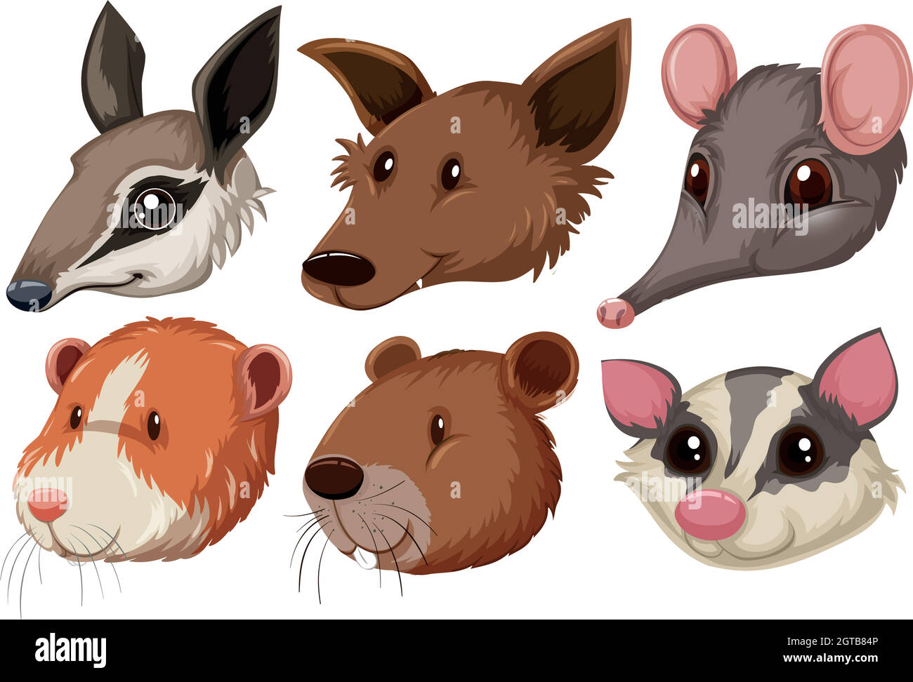 Different animal heads on white background Stock Vector Image & Art - Alamy