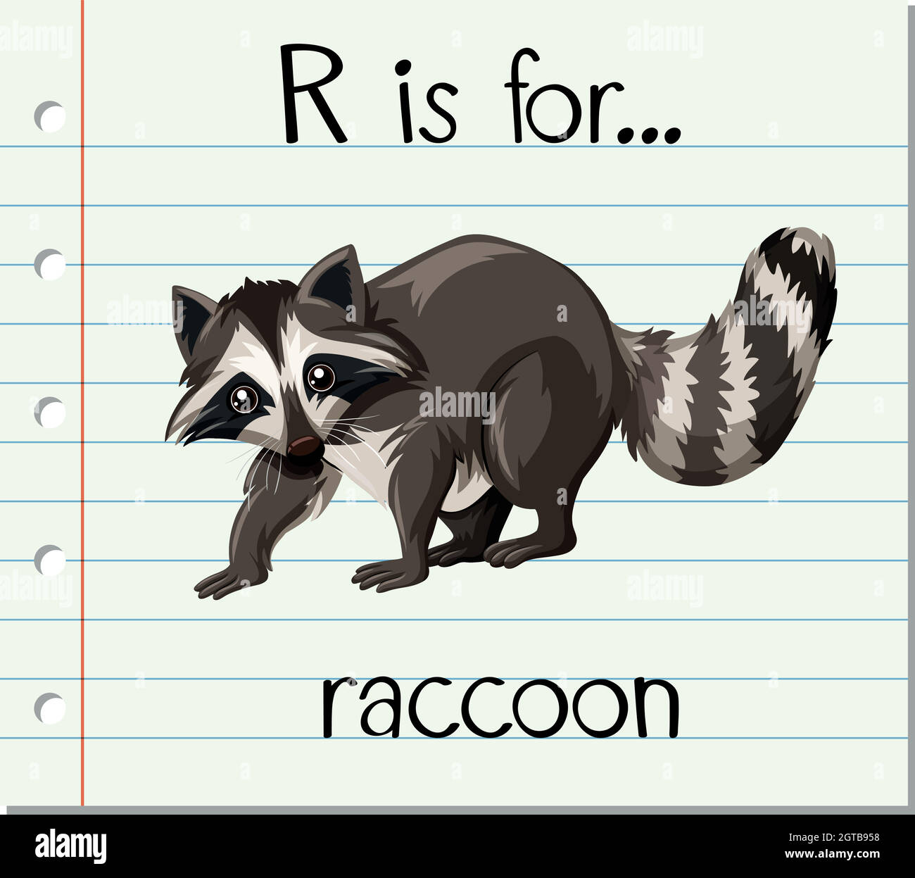 Flashcard letter R is for raccoon Stock Vector Image & Art - Alamy