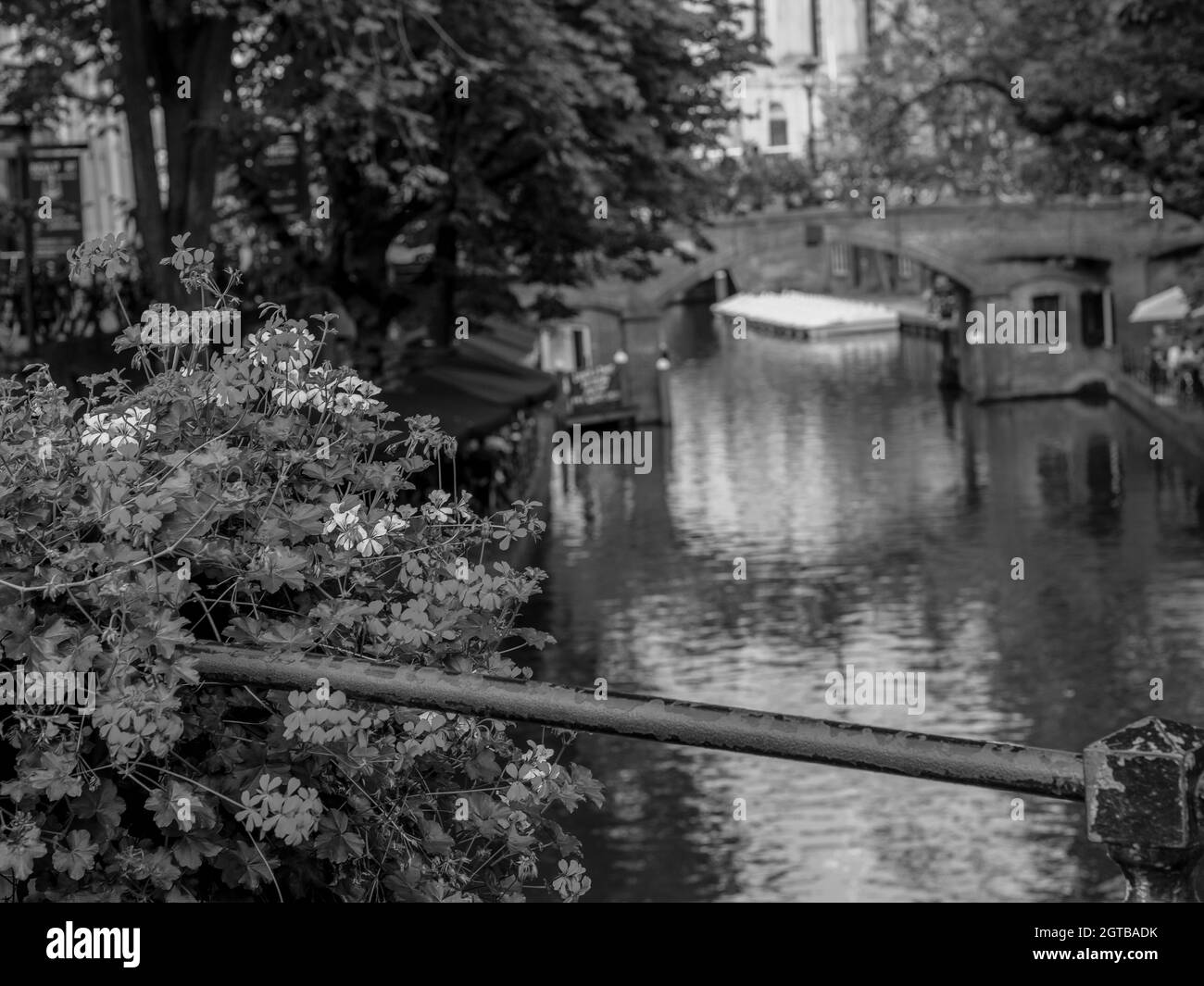 Utecht in the Netherlands Stock Photo - Alamy