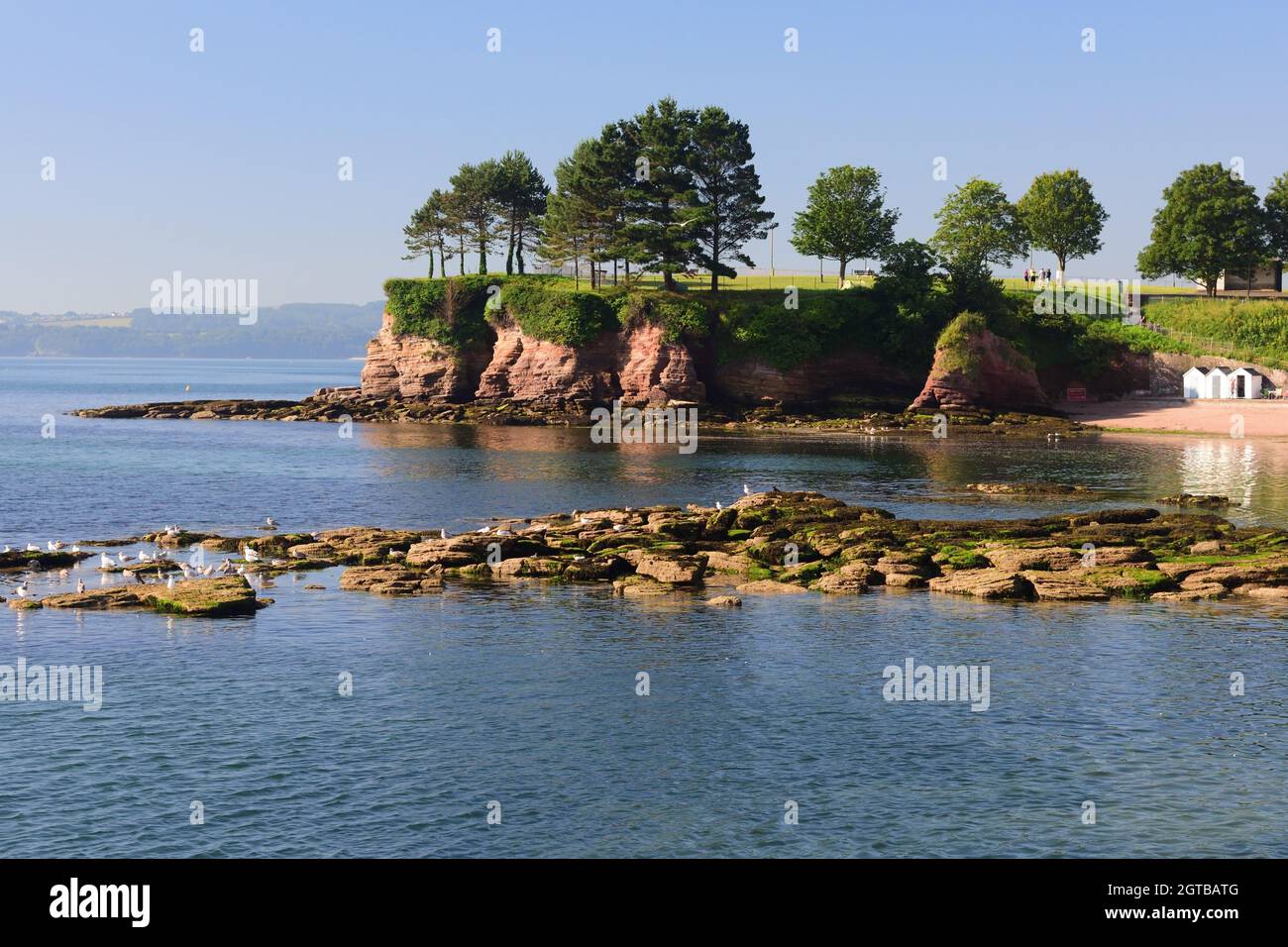 Corbyn's Head and beach, Tor Bay, South Devon Stock Photo - Alamy