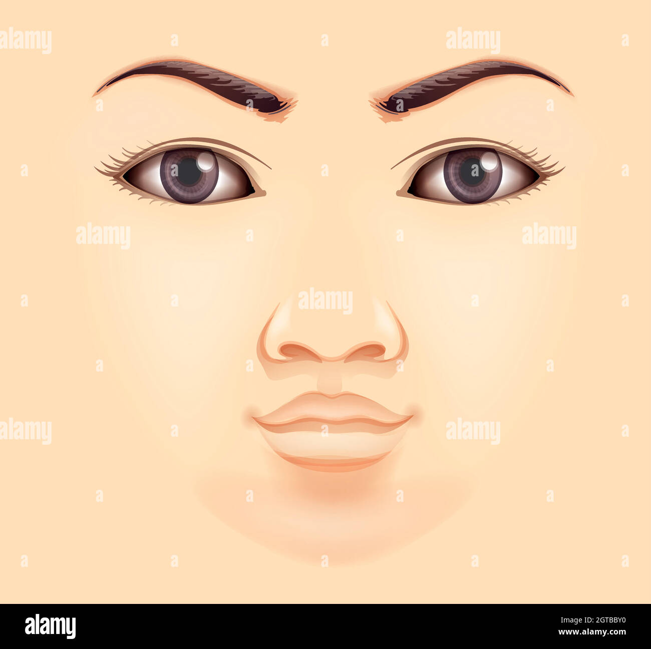 Human face Stock Vector Images - Alamy