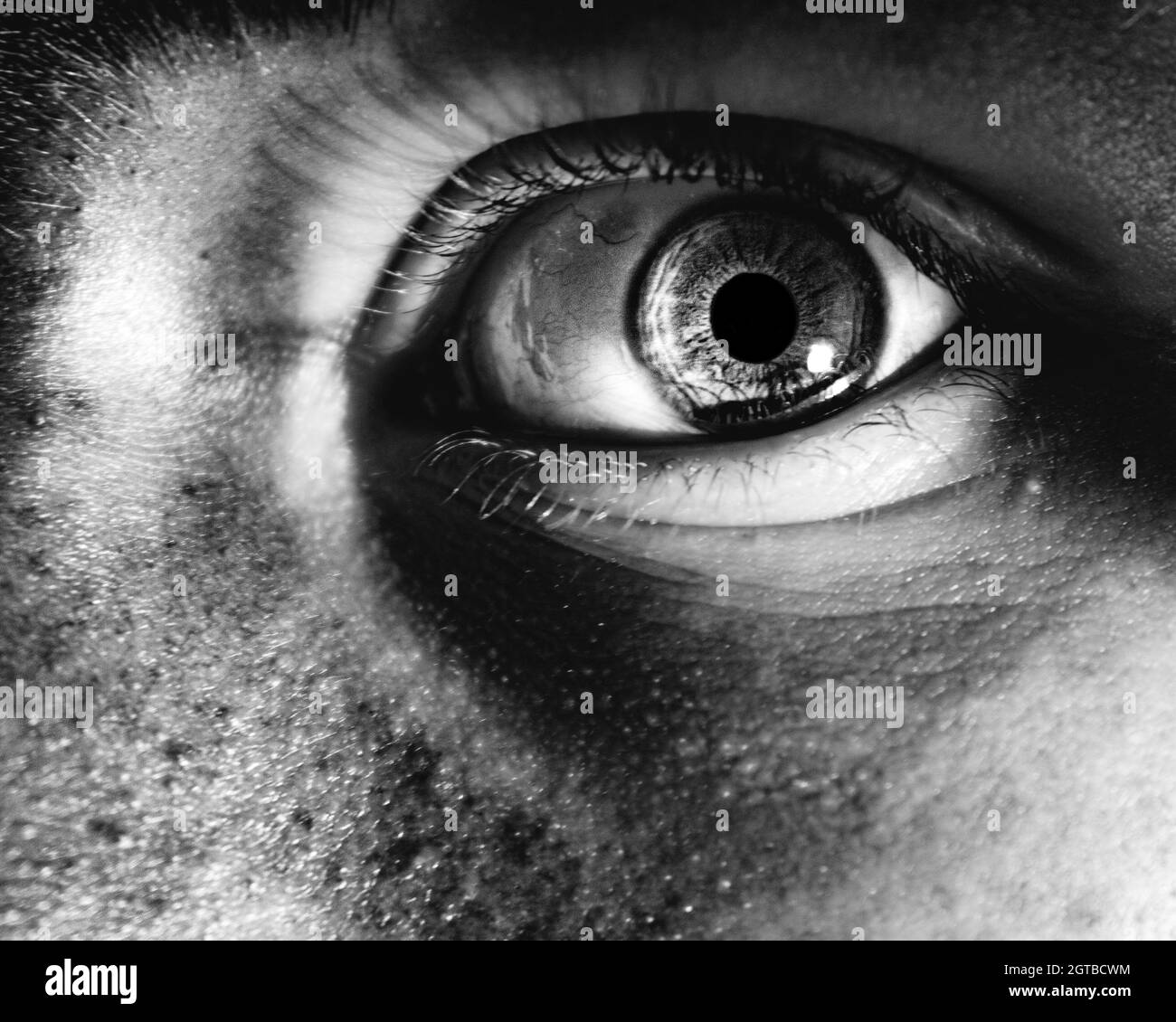 Iris macro eye Black and White Stock Photos & Images - Alamy