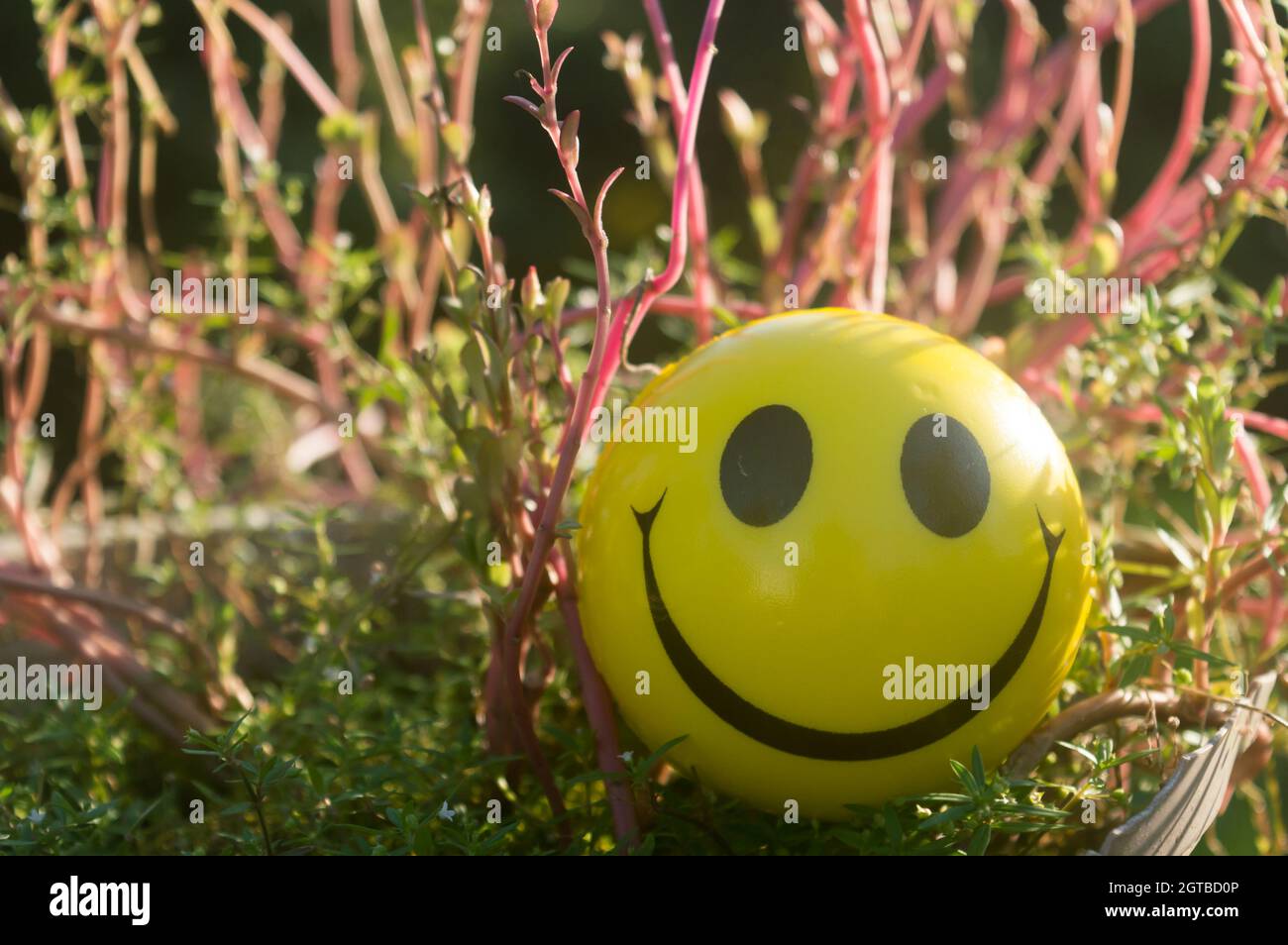 Closeup Emoji sign Smiley Face of a Squeeze Ball mouth representing a ...