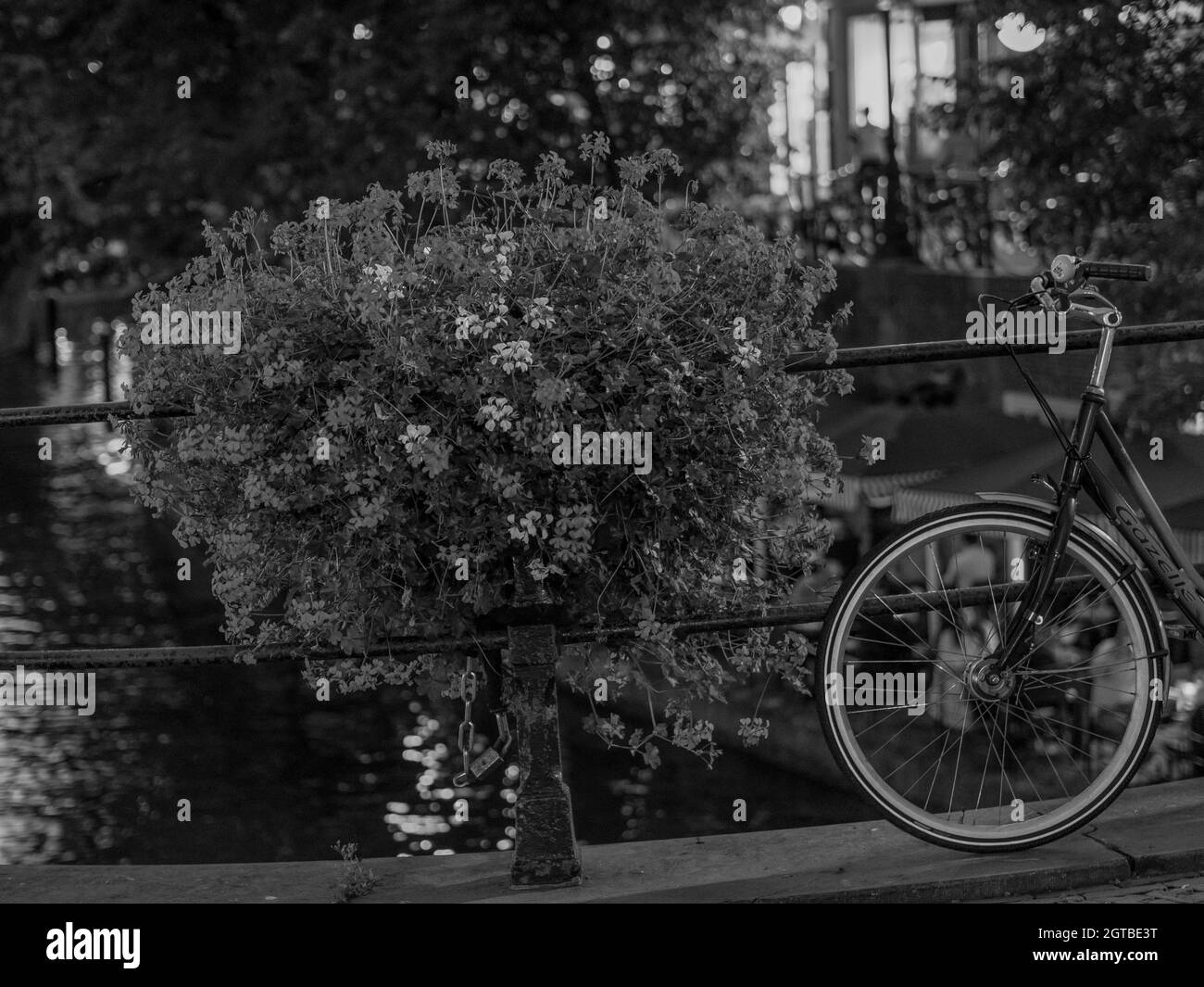 Utecht in the Netherlands Stock Photo - Alamy