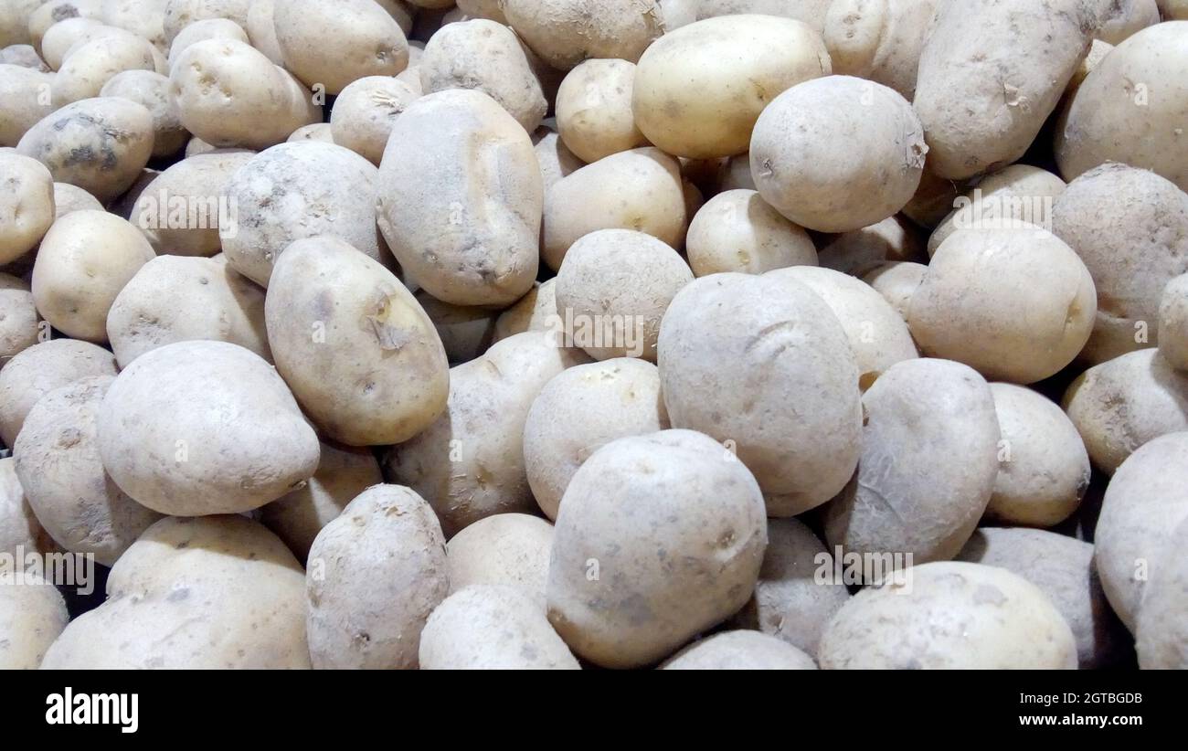 Pototan hi-res stock photography and images - Alamy