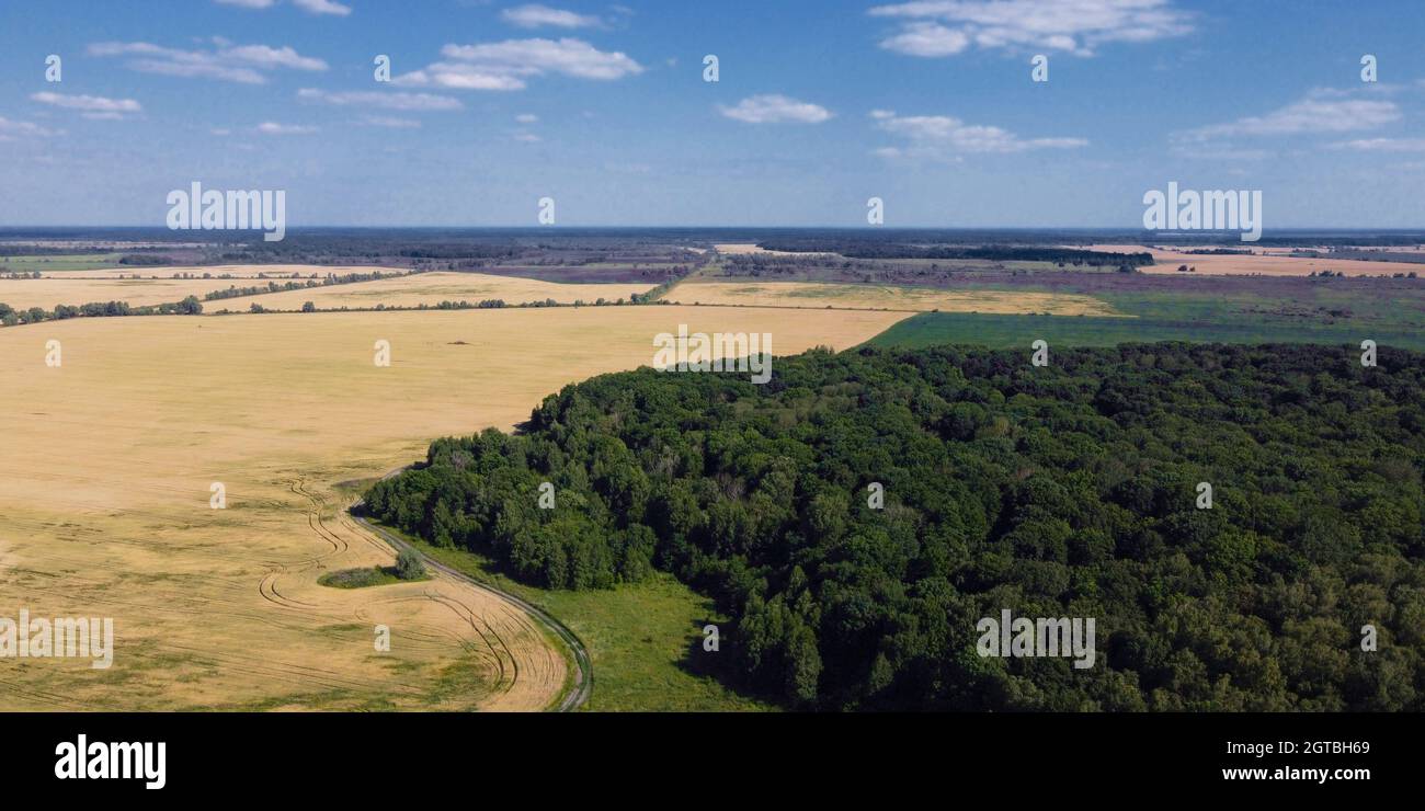 Green deciduous forest next to a farm field. Landscape from a bird's ...