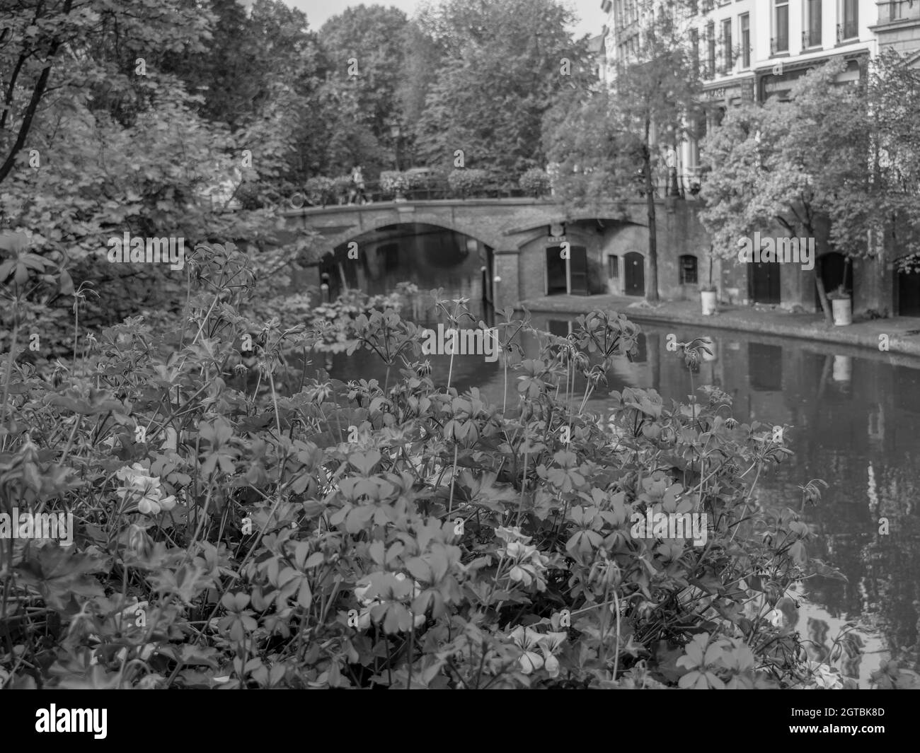 Utecht in the Netherlands Stock Photo - Alamy